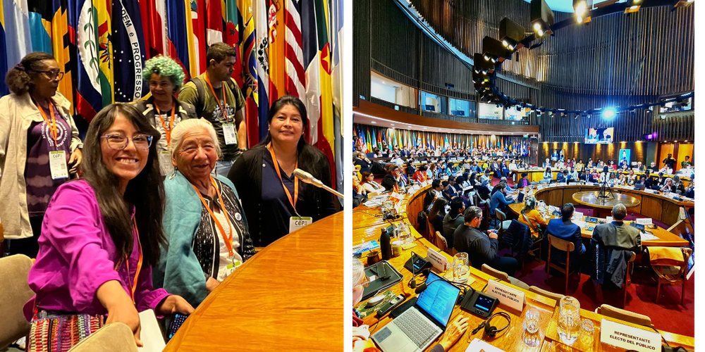 Incidencia colectiva detrás del Plan de Acción, el hito que deja la ...