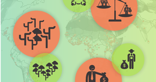 LAND MATRIX LAUNCHES THIRD ANNALYTICAL REPORT - ILC