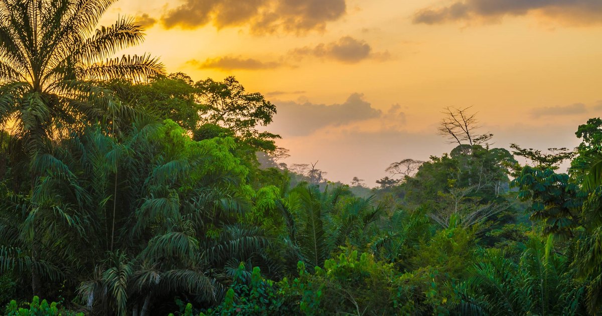 Liberia’s President Highlights Land Governance Progress | MAP Liberia ...