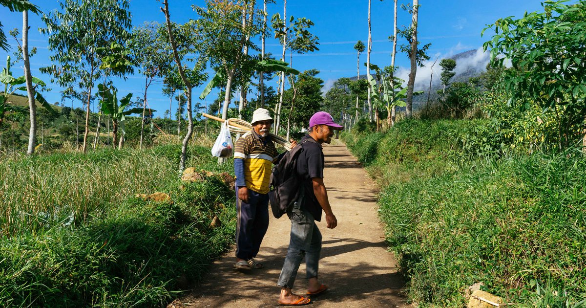 Regional Workshop Report: Promoting Land Rights as Human Rights - ILC ...