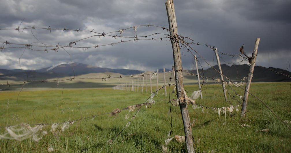 NEW REPORT REVEALS LAND INEQUALITY IS WORSE THAN WE THOUGHT AND IS ...