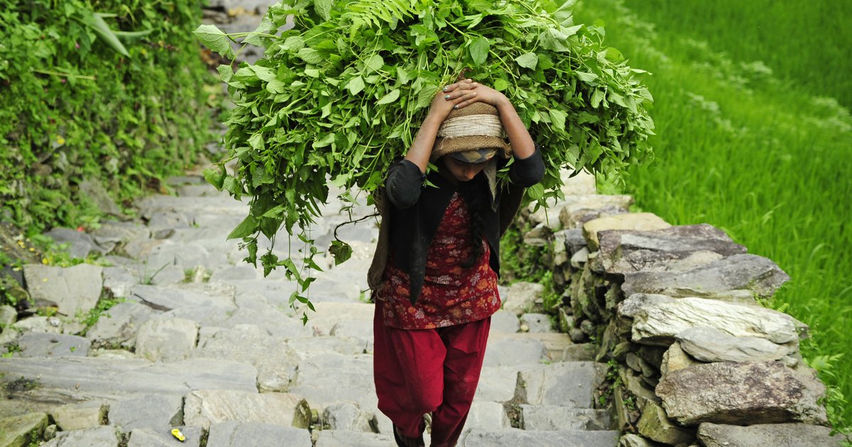 Secure land rights mean resilience for rural communities in Asia in the ...